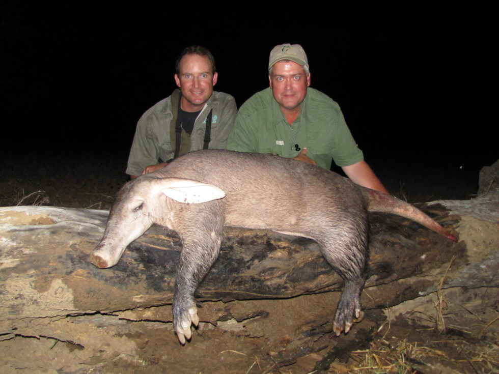 Thierry Labat Safaris - AHG