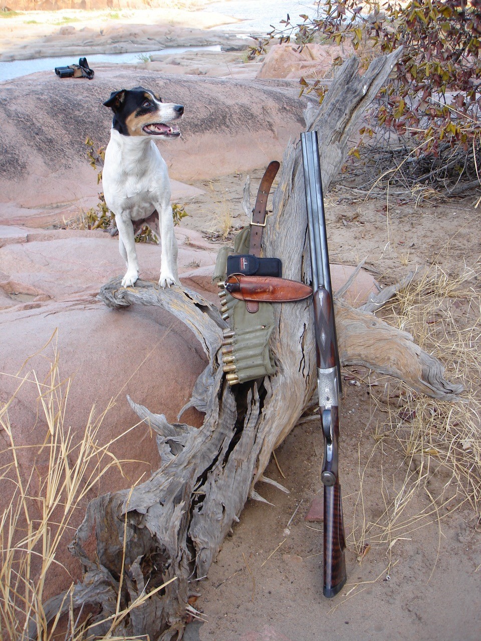 John Sharp Safaris - AHG