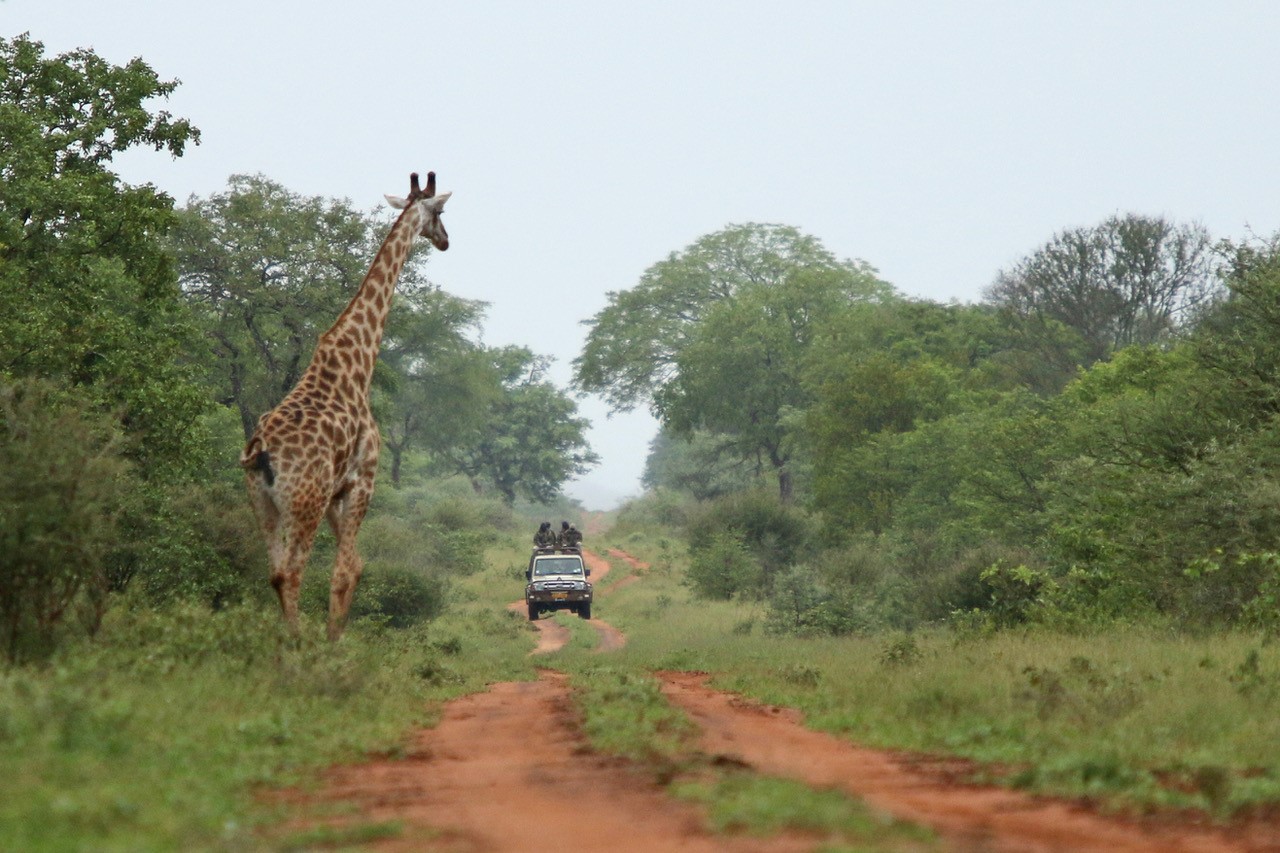 John Sharp Safaris - AHG