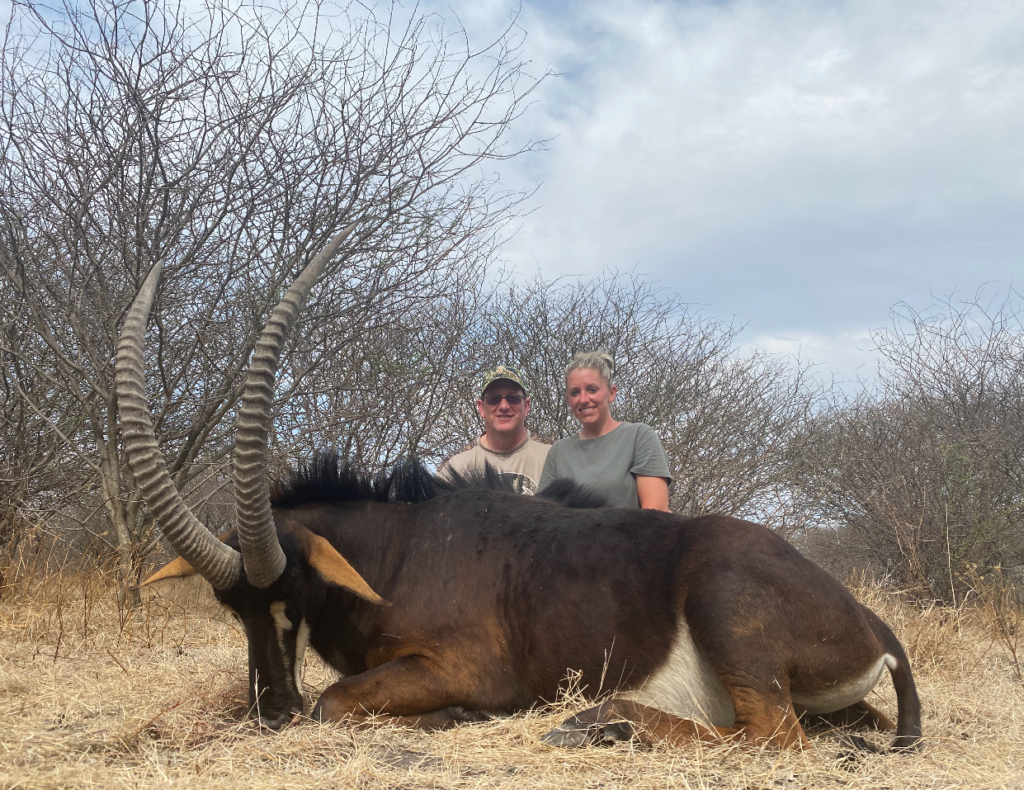 Searching for Sable - AHG