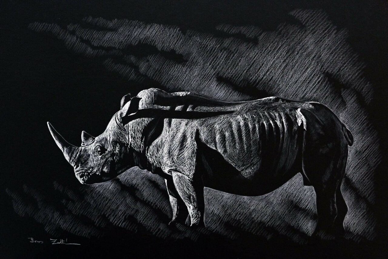 Wildlife Artist: Zoltan Boros - AHG