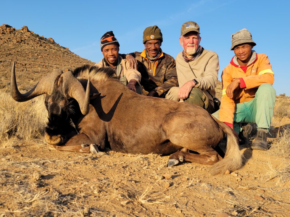 A Trifecta of Good Gnus - AHG