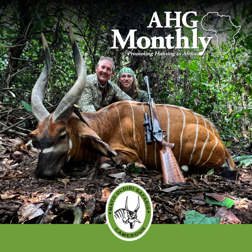 Previous AHG Winner: Big Bongo & Wonderful Experience - AHG