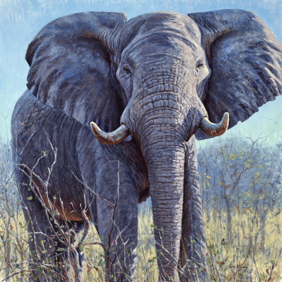 Wildlife Artist: Justin Prigmore - AHG